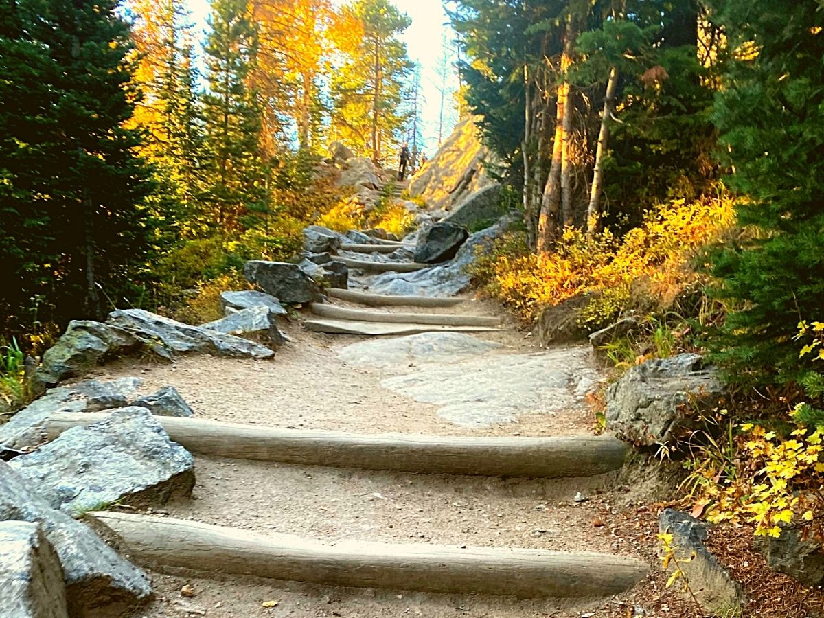 How Hiking Trails Are Made – Really Good Hiking